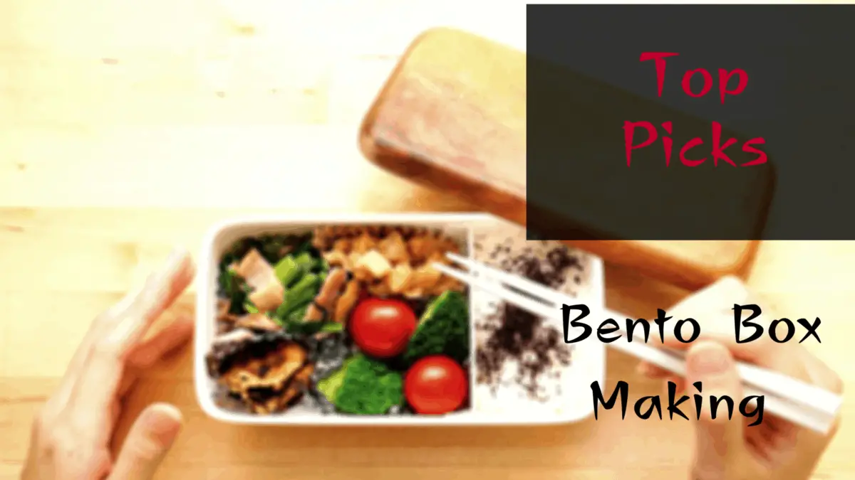 The Best Bento Boxes: Which Is Right for You?