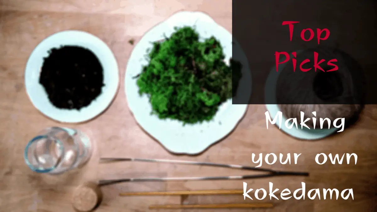 Everything You Need to Make Your Own Kokedama At Home