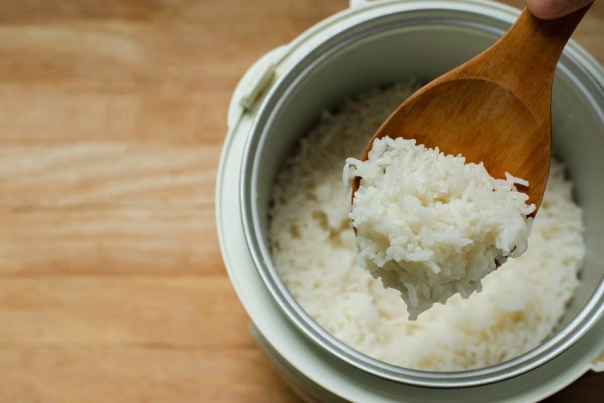 Aroma Sushi Rice Cooker - THE JAPANESE WAY